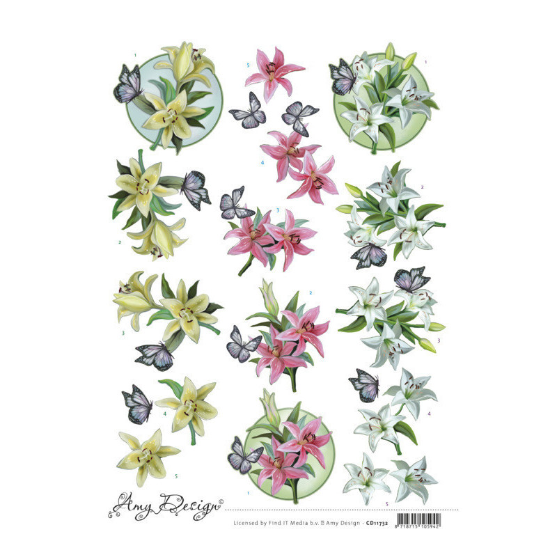 Amy Design - Lily - CD11732